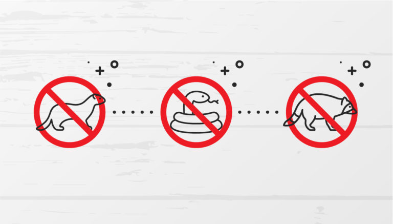 6 Tips on Preventing Unwanted Animals | The Bug Man
